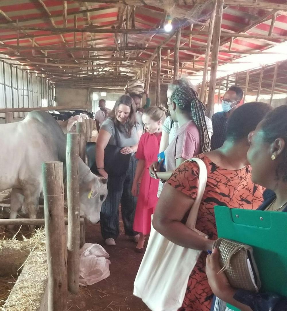 Nourishing a Sustainable Future: CASCADE’s strategy to improve ...